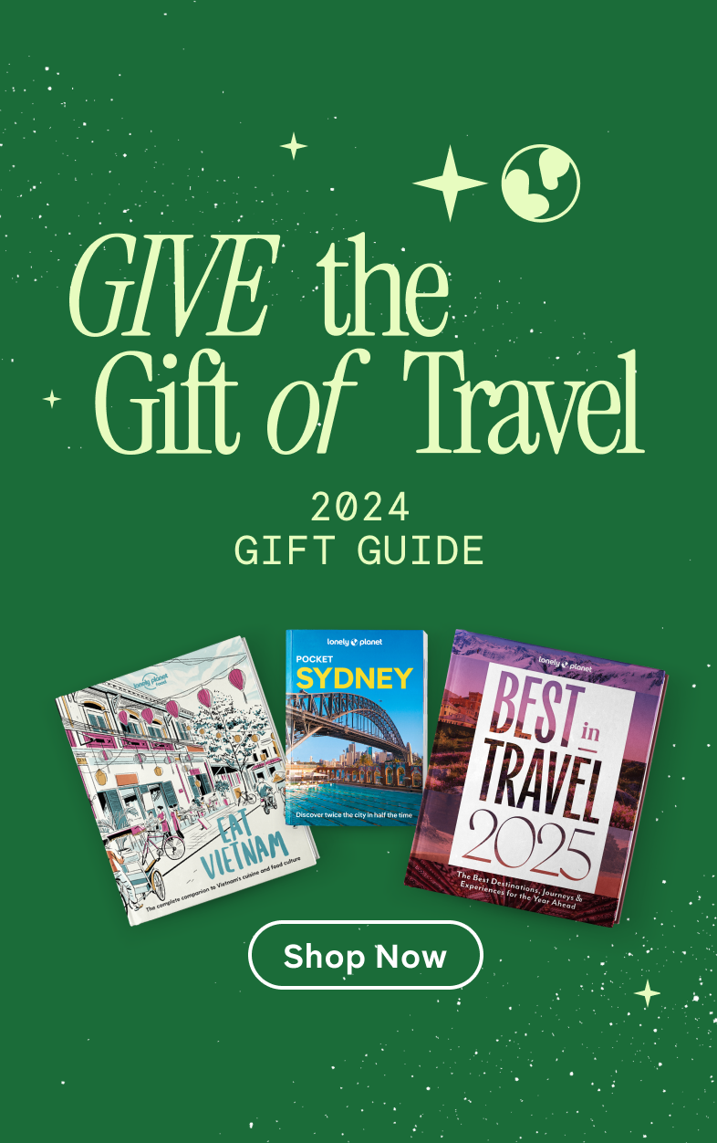 Lonely Planet Travel Guidebooks: Free Shipping & Immediate Delivery